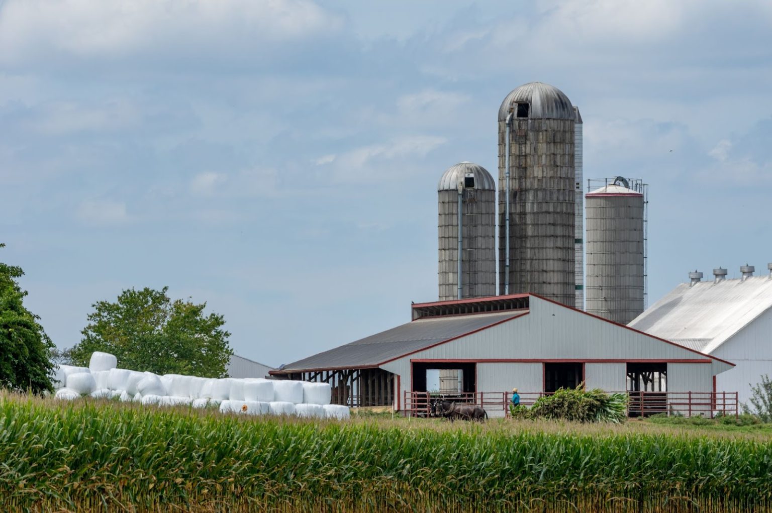 Silo vs Grain Bin: Which Is Right for Your Farm?